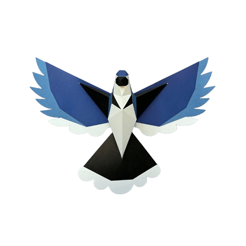 Low Poly Papercraft Blue Jay - DIY Kit ready to assemble – POLY PAPER CRAFT